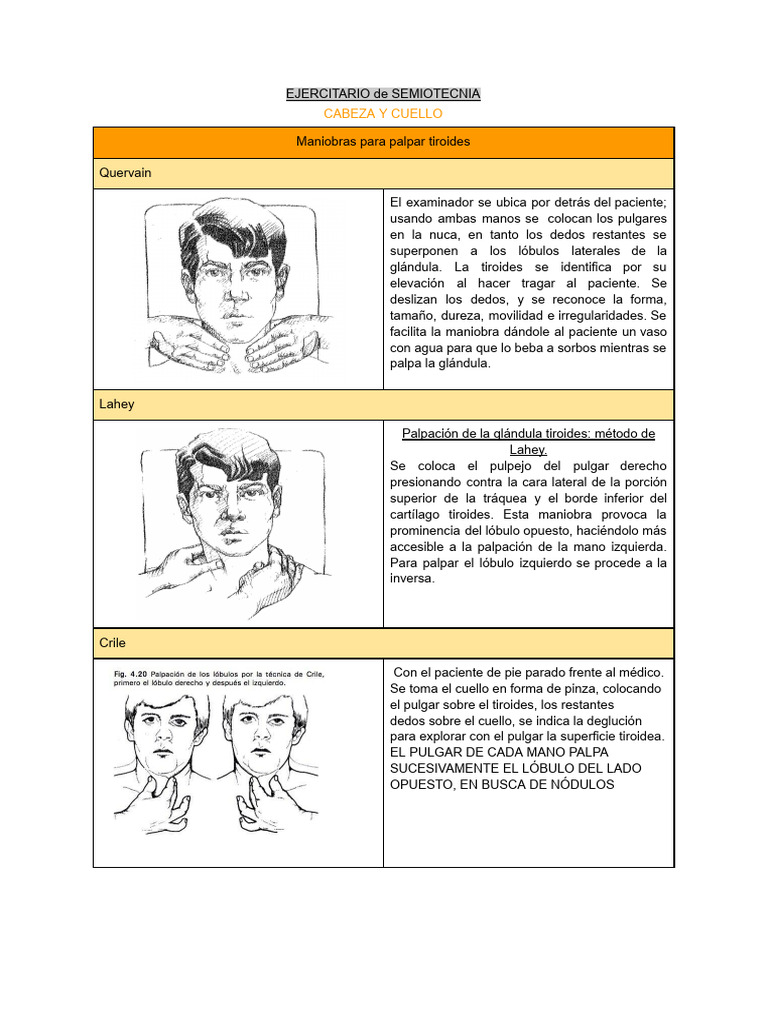 Semio Tecnica | PDF | Tiroides | Tórax