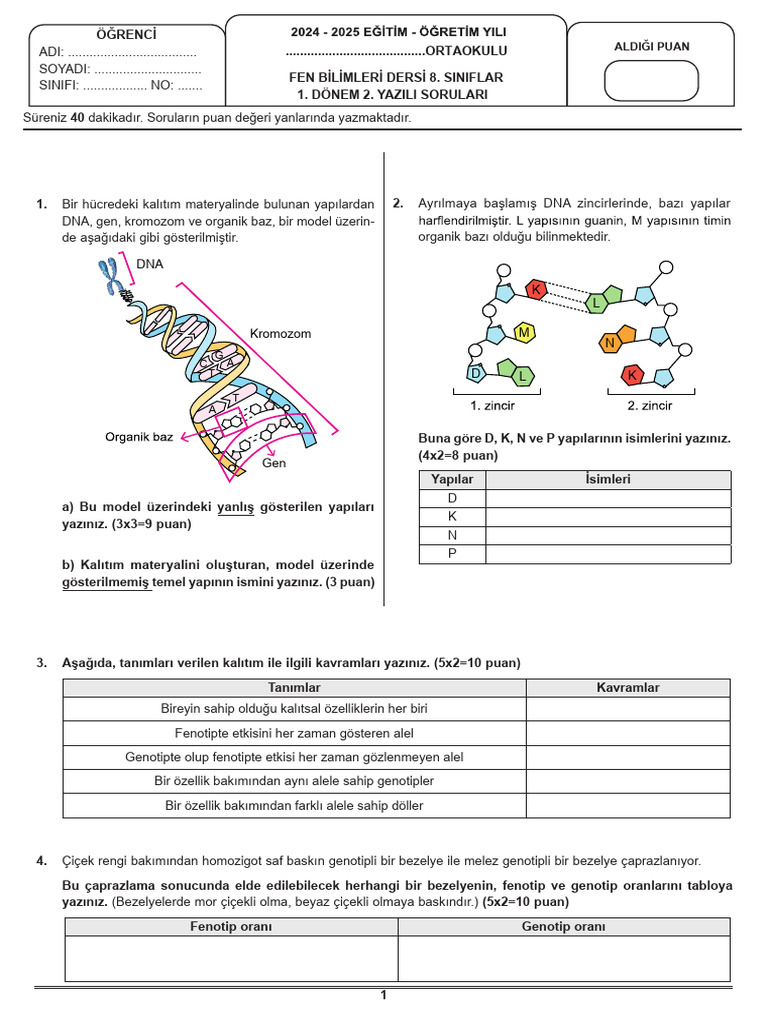 8 Sinif Fen Bil 1 Donem 2 Yazili 9 | PDF