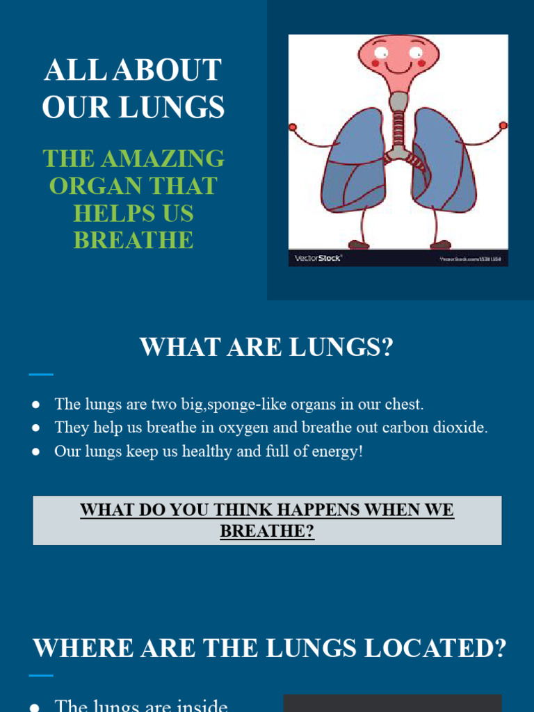 Lungs | PDF