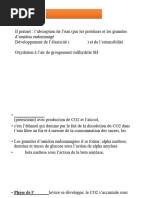 Composition chimique du grain de blé | PDF | Céréale | Blé