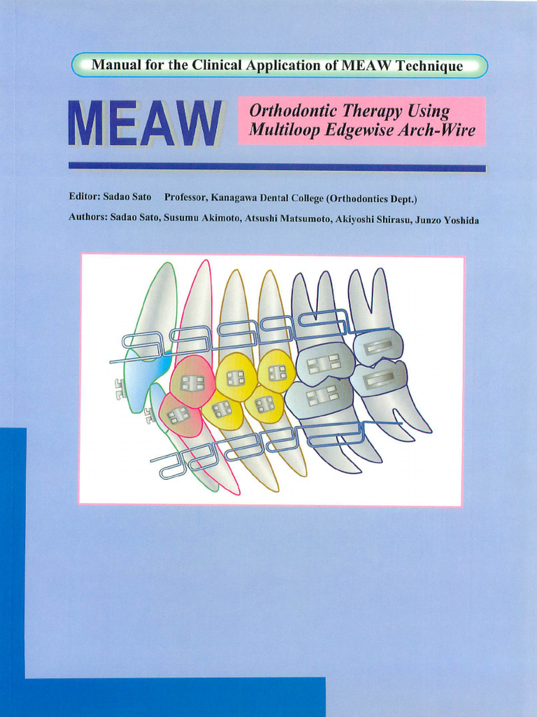 Meaw | PDF