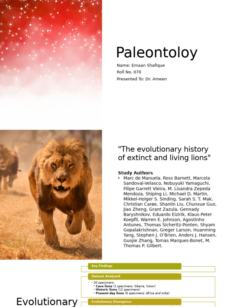 Presentation 56 | PDF | Lion | Genetics