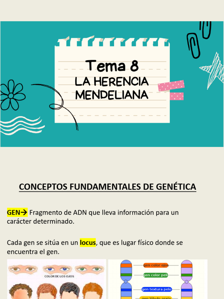 Tema 8. Genética mendeliana | PDF | Dominancia (Genética) | Alelo