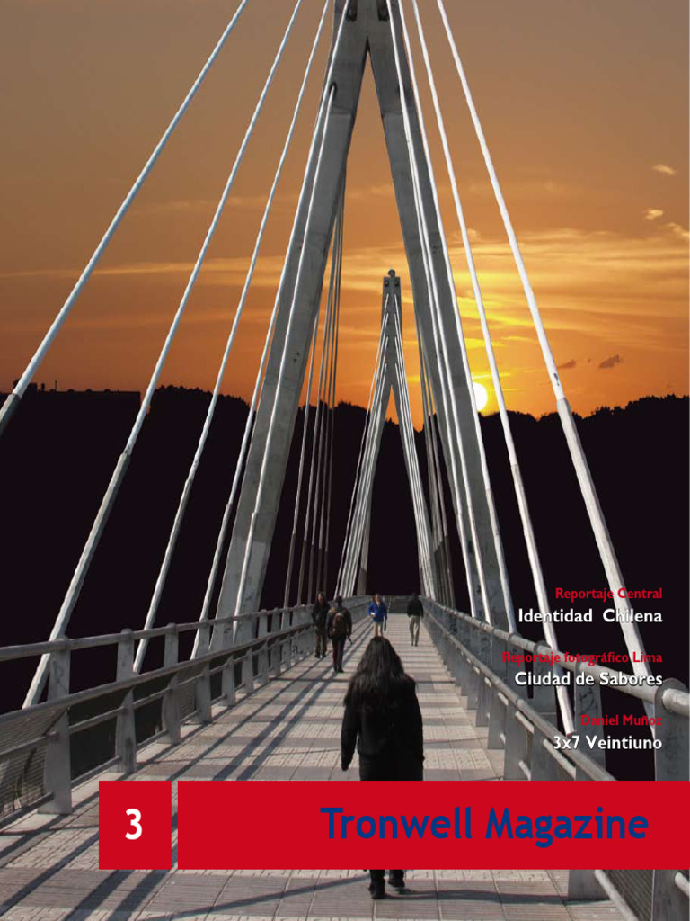 Reportaje Central Identidad Chilena. Reportaje Fotográfico Lima Ciudad de Sabores. Daniel Muñoz ...