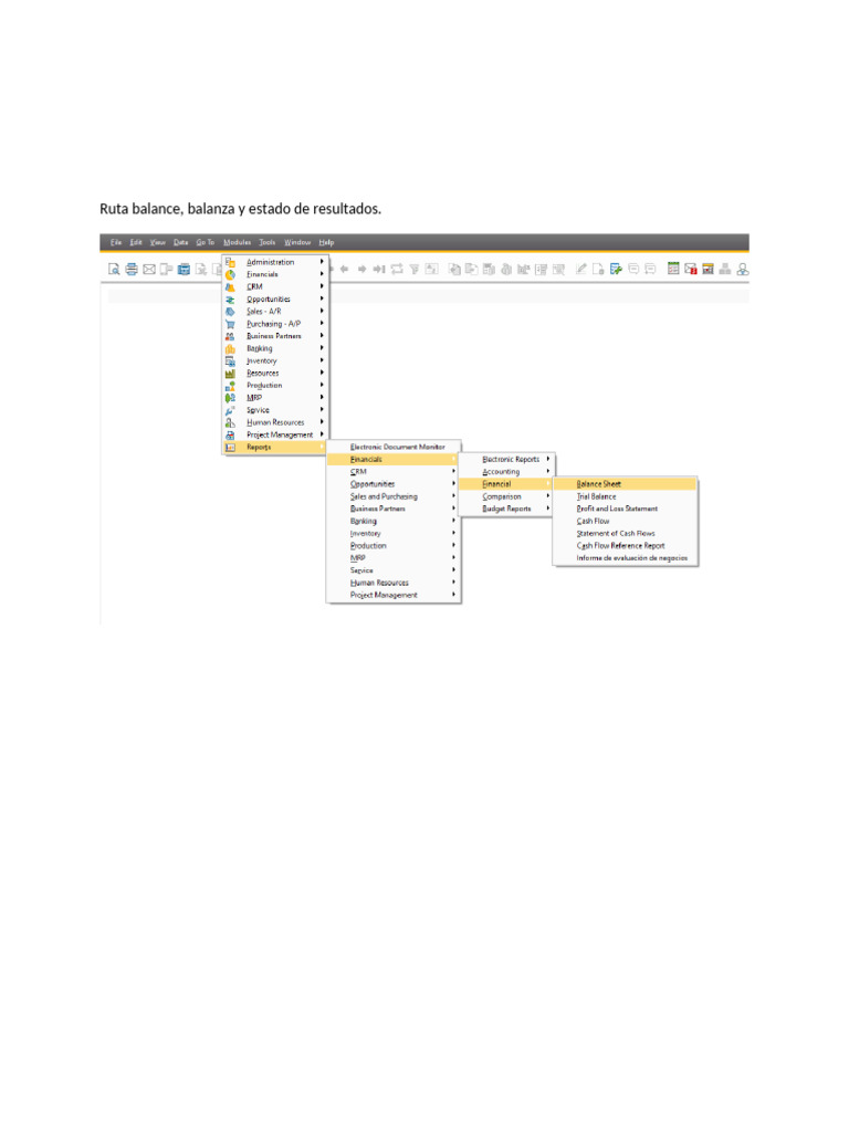 Guía SAP: Ruta de Balanza y Resultados | PDF