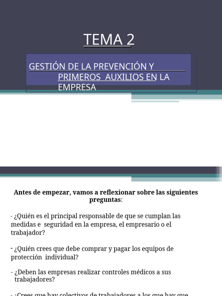 Tema 2 Ipe | PDF | Business | Riesgo