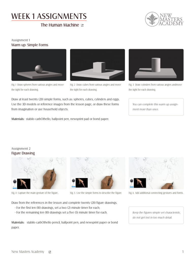 Figure Drawing Assignments Guide | PDF | Drawing | Figure Drawing