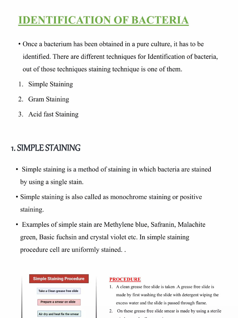 Staining Techniques | PDF