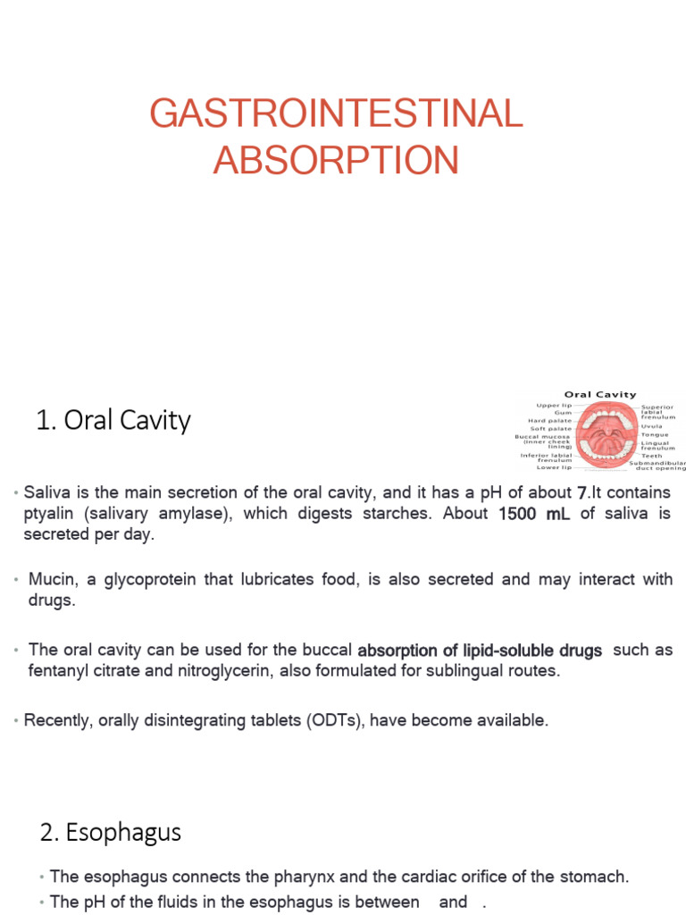 Chapter 2 Gastrointestinal Absorption Compelte | PDF | Digestion | Stomach