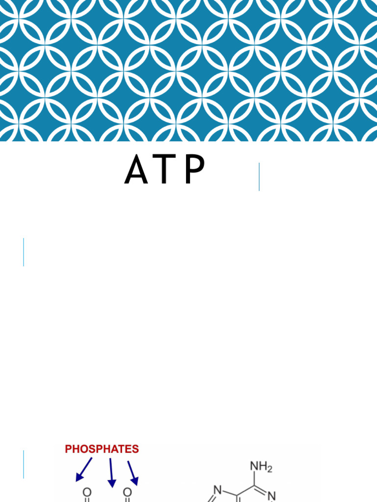 ATP | PDF