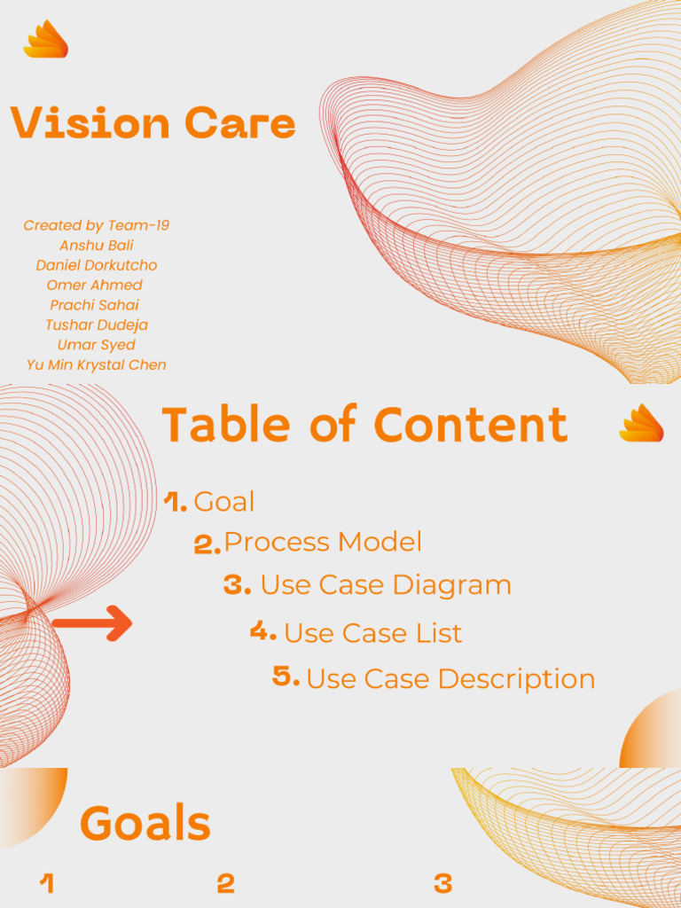 Assignment 1 Example - Vision Care | PDF