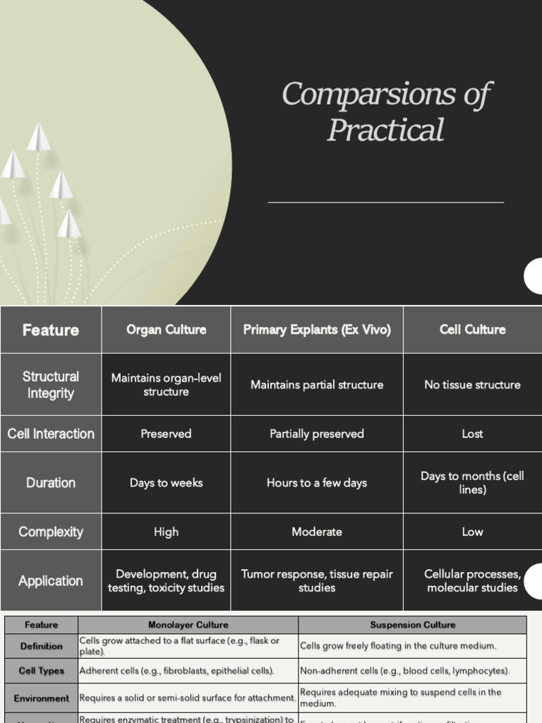 Comparsions of Practical | PDF | Cell Potency | Embryonic Stem Cell