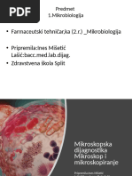 Skripta - Frazemi | PDF