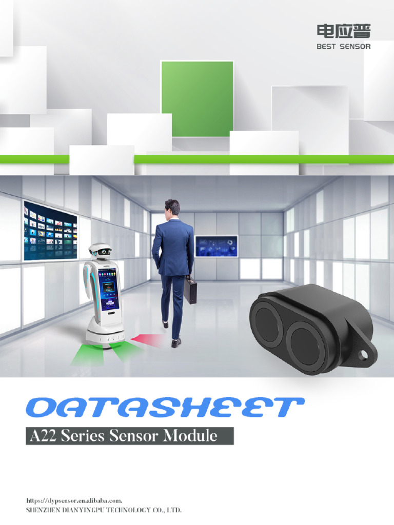 A22 Datasheet-231109 | PDF