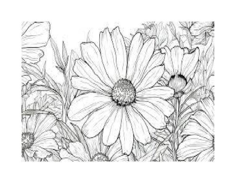 Mewarna 5 - Bunga | PDF