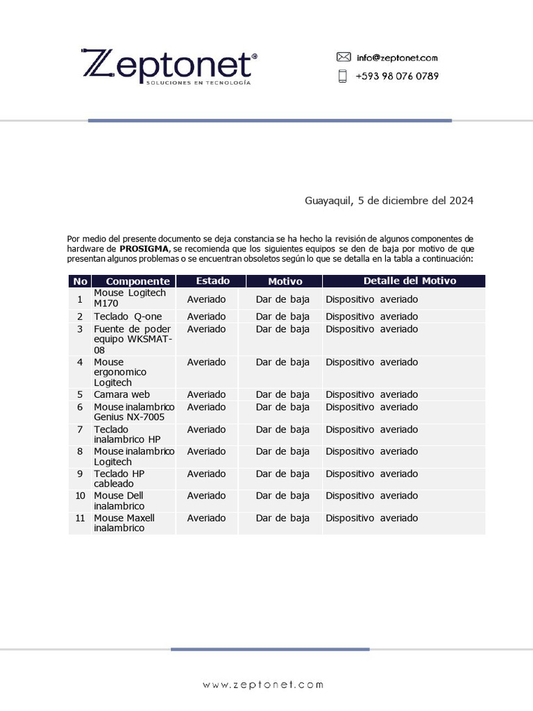 Informe de Baja de Equipos PROSIGMA | PDF