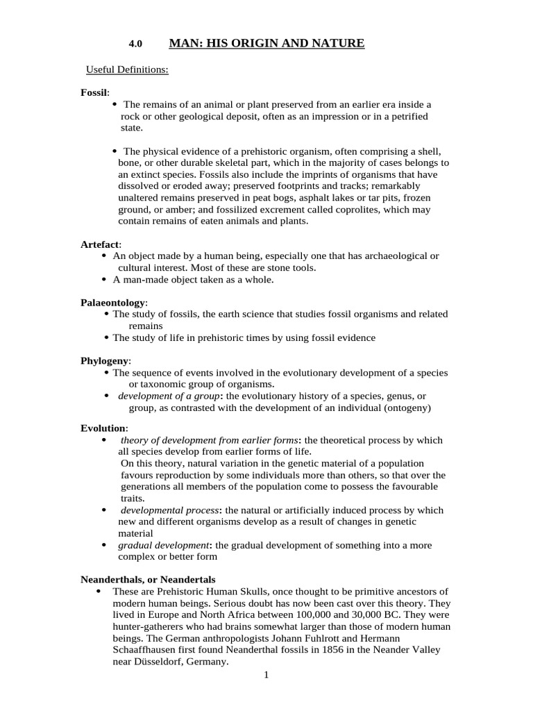 Human Evolution: Origins and Evidence | PDF | Homo | Human Evolution
