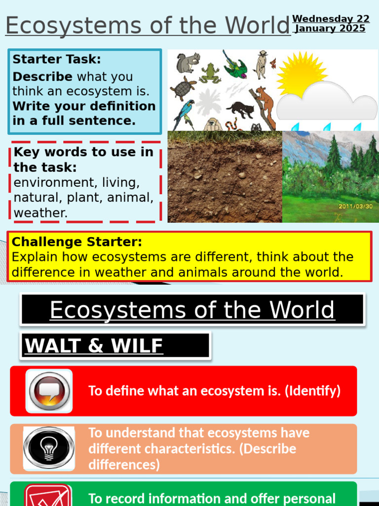 Understanding Global Ecosystems | PDF | Forests | Trees