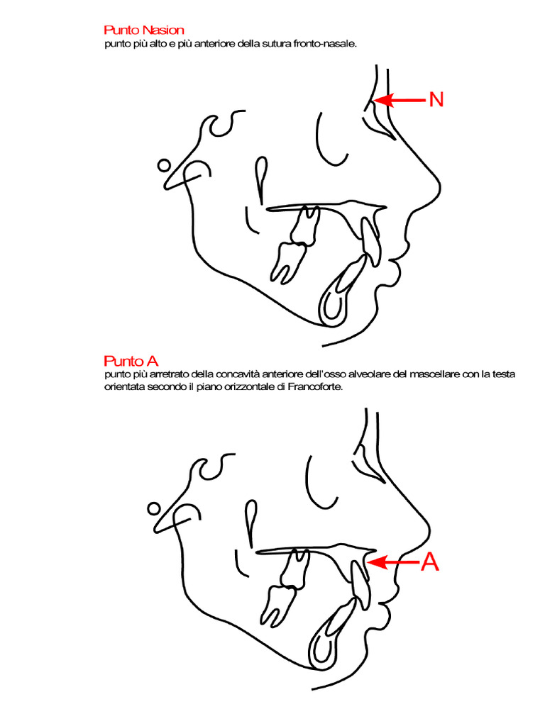 Syllabus (1) - 4 | PDF