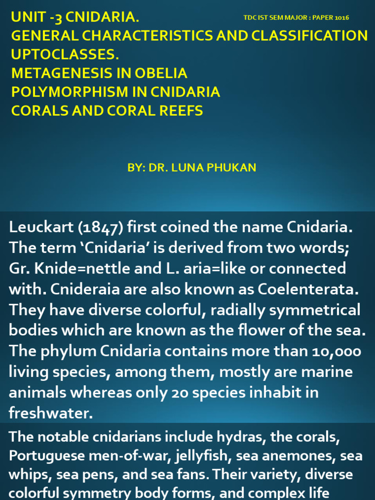 Cnidaria 01 | PDF | Coral | Coral Reef