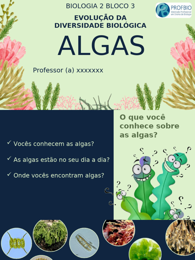 4 Bloco 3 Algas Slides Da Aula Expositiva | PDF | Algas | Plantas