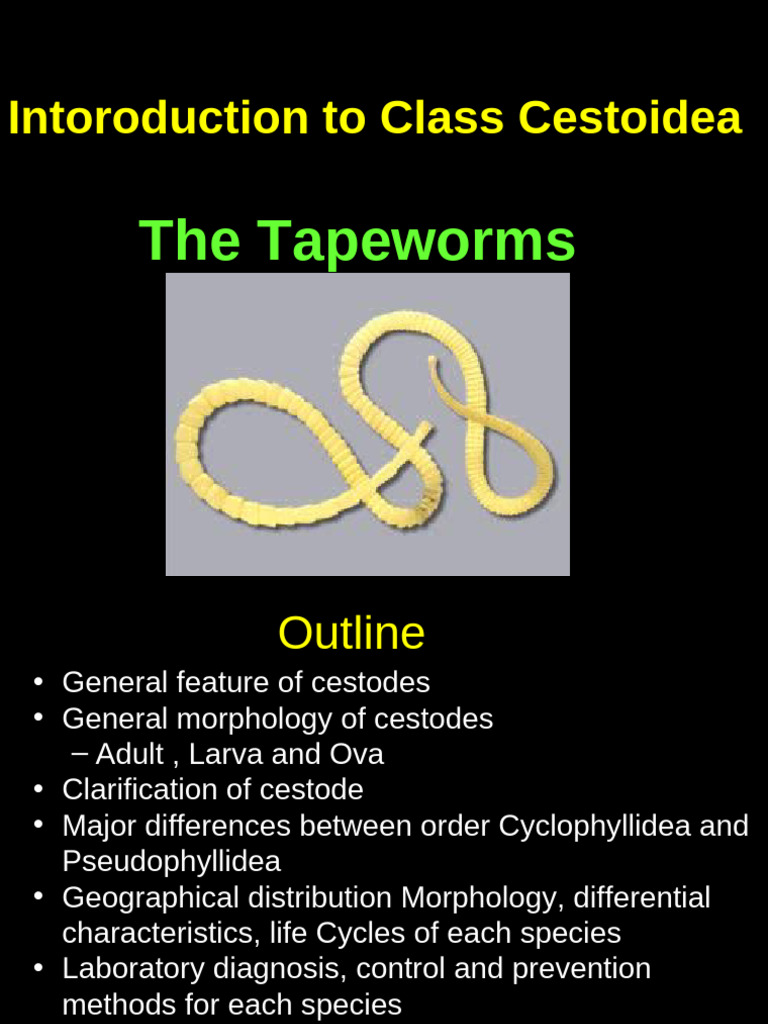 tapeworm | PDF | Animals And Humans | Medical Specialties