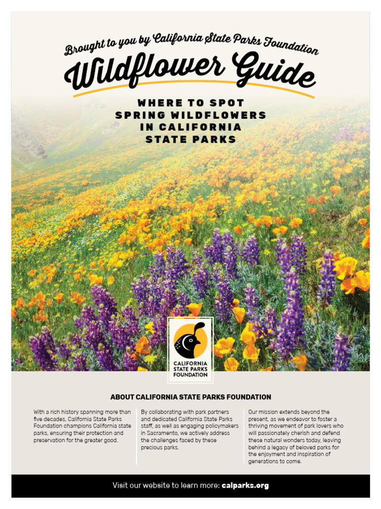 CSPF_WildflowerGuide_FINAL | PDF | Plants