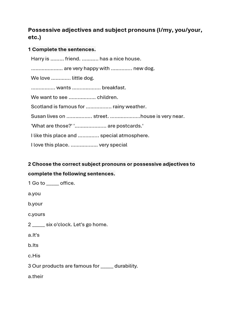 Possessive Adjectives and Subject Pronouns - Exercise | PDF