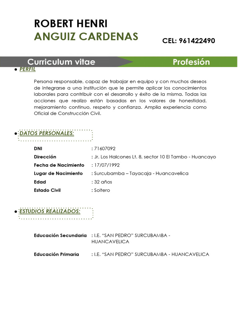 Curriculum ANGUIZ CARDENAS | PDF