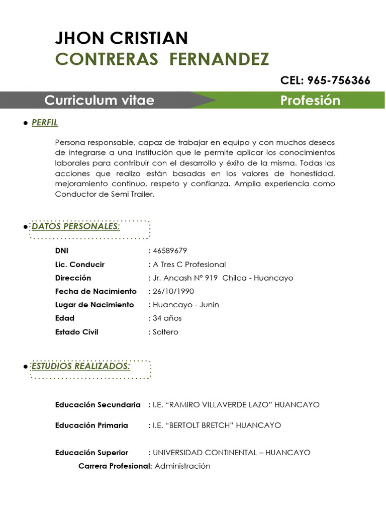 Curriculum CONTRERAS FERNANDEZ | PDF