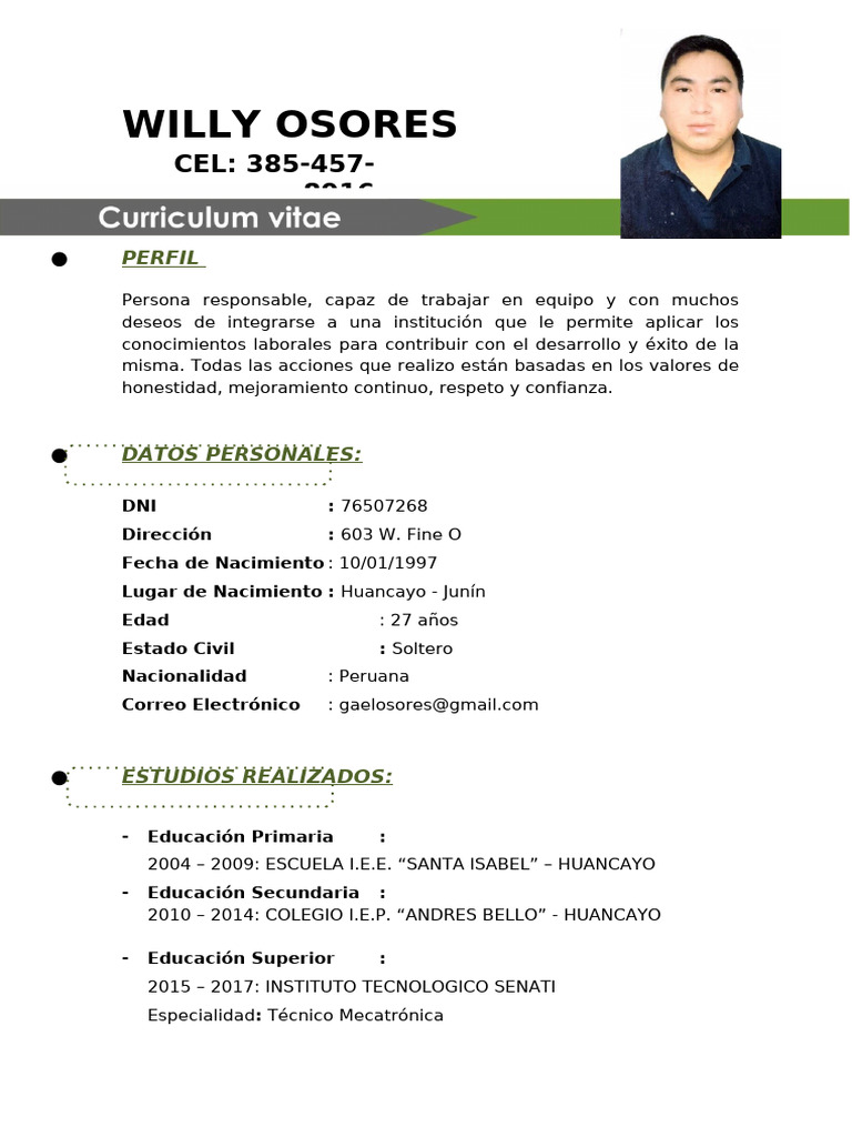 Curriculum WILLY OSORES | PDF