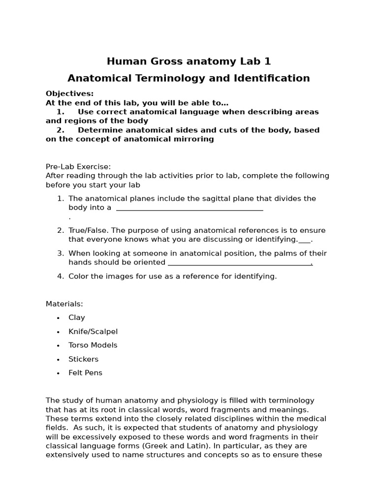 Human Gross anatomy Lab 1 | PDF | Anatomical Terms Of Location
