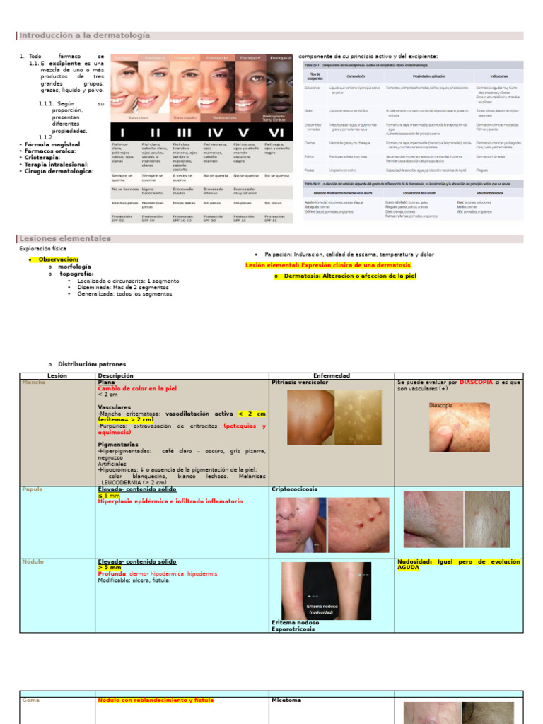 Derma Final | PDF | Piel | Enfermedades y trastornos