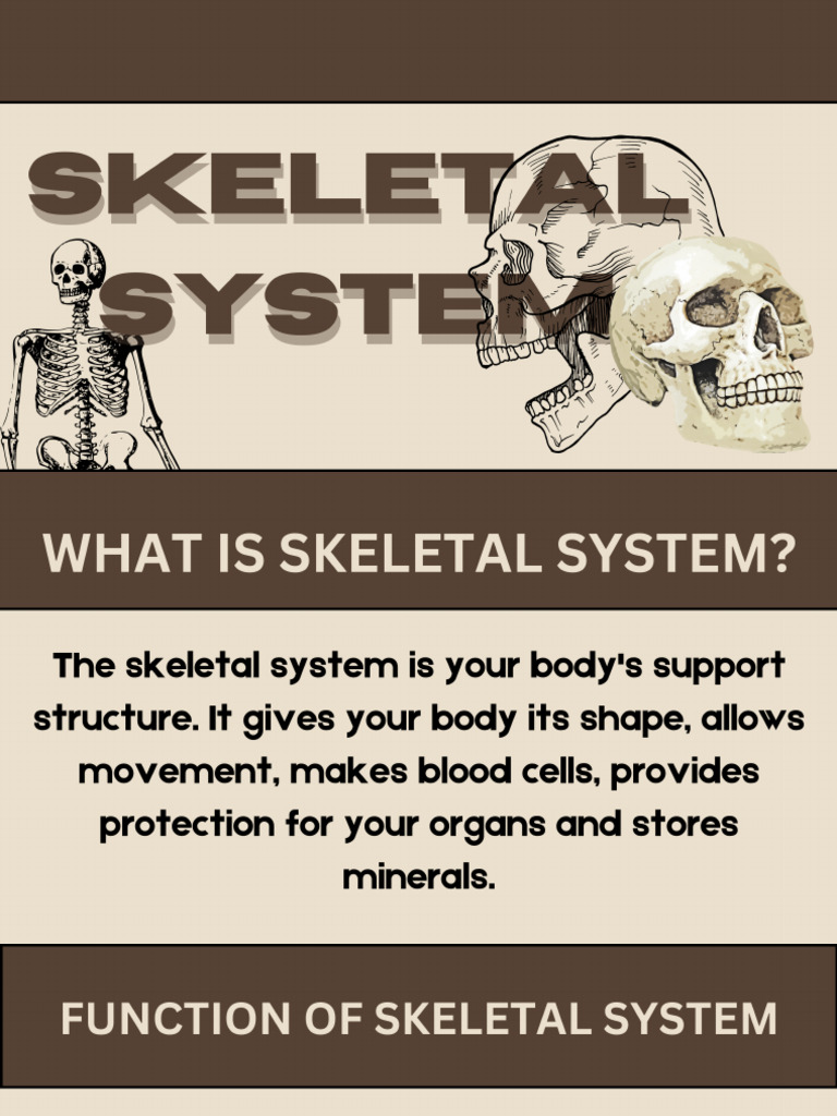 Skeletal System | PDF