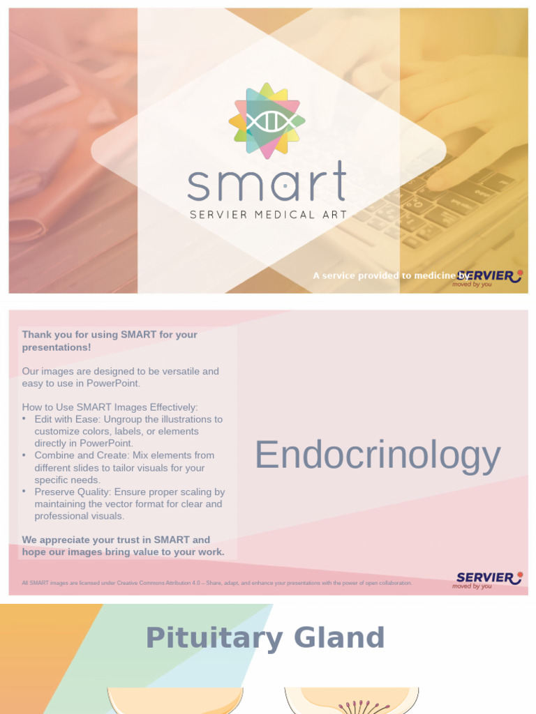SMART Endocrinology | PDF | Thyroid | Animal Anatomy