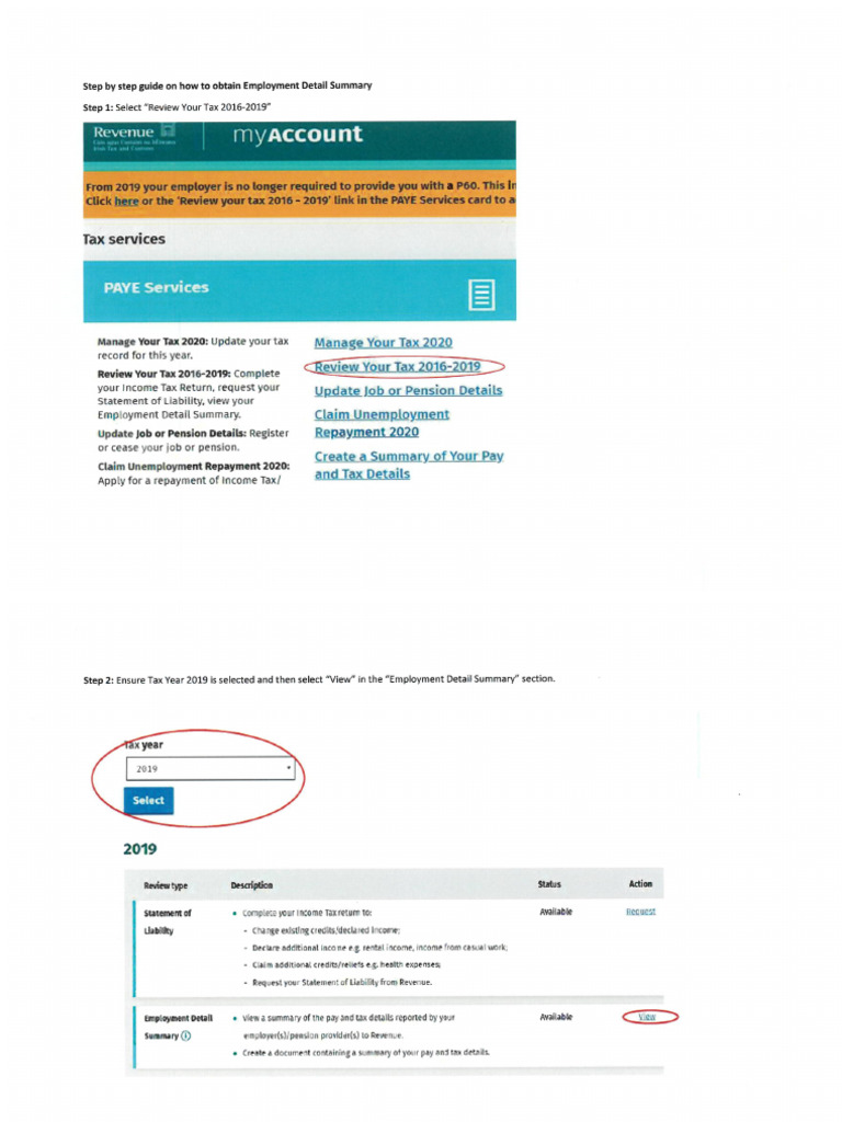 Step by Step Guide How To Download Employment Detail Summary | PDF
