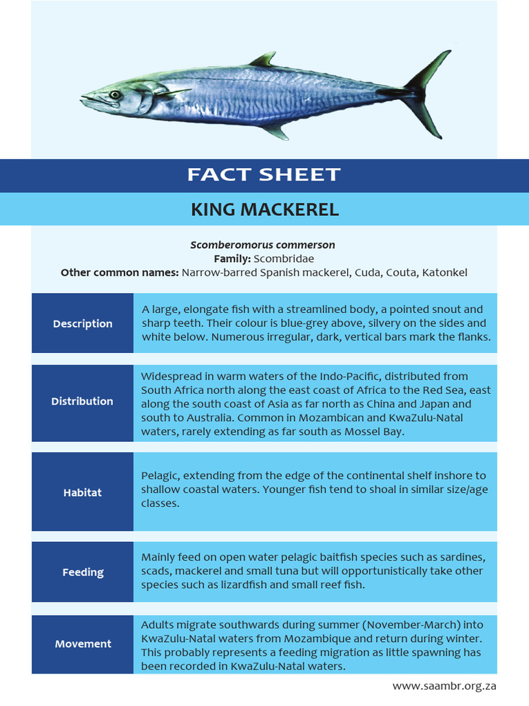 ORI Fish Fact KIng Mackerel ZC LB (1) | PDF | Fish | Fish And Humans