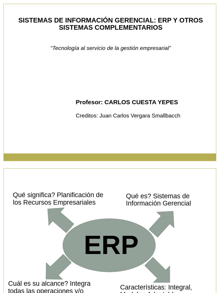 _sistemas-de-informacion (ERP y otros) | PDF | Planificación de ...