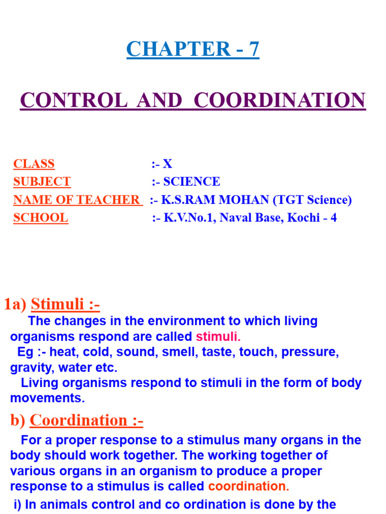 Class 10 Science: Control & Coordination | PDF | Nervous System | Neuron