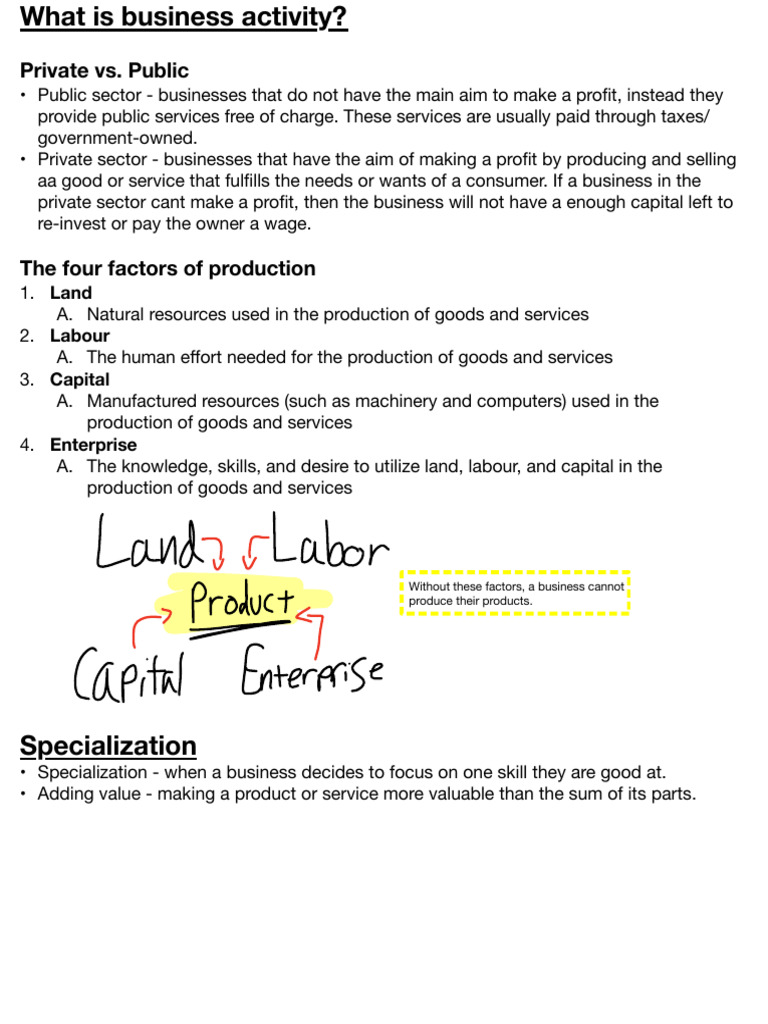 Understanding Business Activity Types | PDF