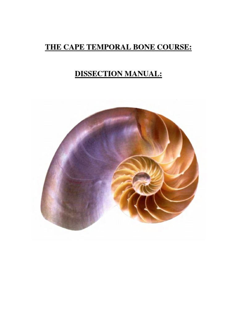 Temporal Bone Dissection Guide | PDF | Home & Garden | Technology & Engineering