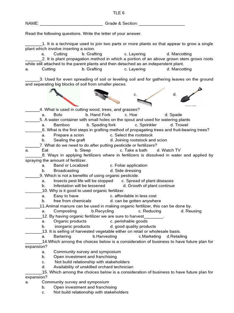 Tle Agriculture 6 Exam 1 | PDF | Grafting | Agriculture