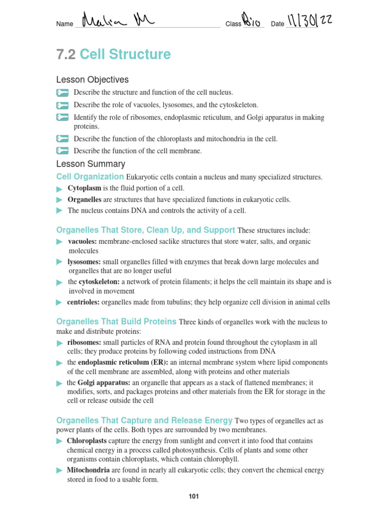 Ch 7.2 Cell Structure | PDF | Cell (Biology) | Endoplasmic Reticulum