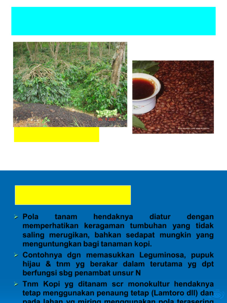 4. Budidaya Kopi Organik (Pola Tanam & Pemupukan) | PDF