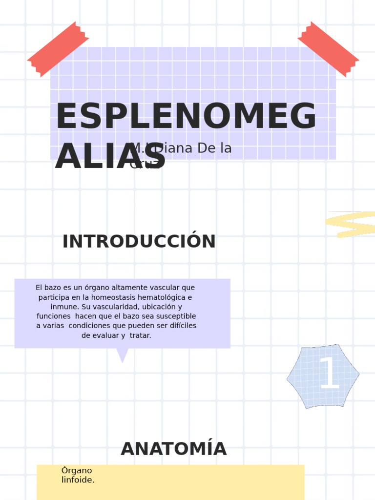 Abordaje Definitivo Espleno | PDF | Bazo | Enfermedades y trastornos