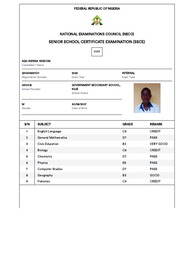 NECO 2023 Exam Results Summary | PDF