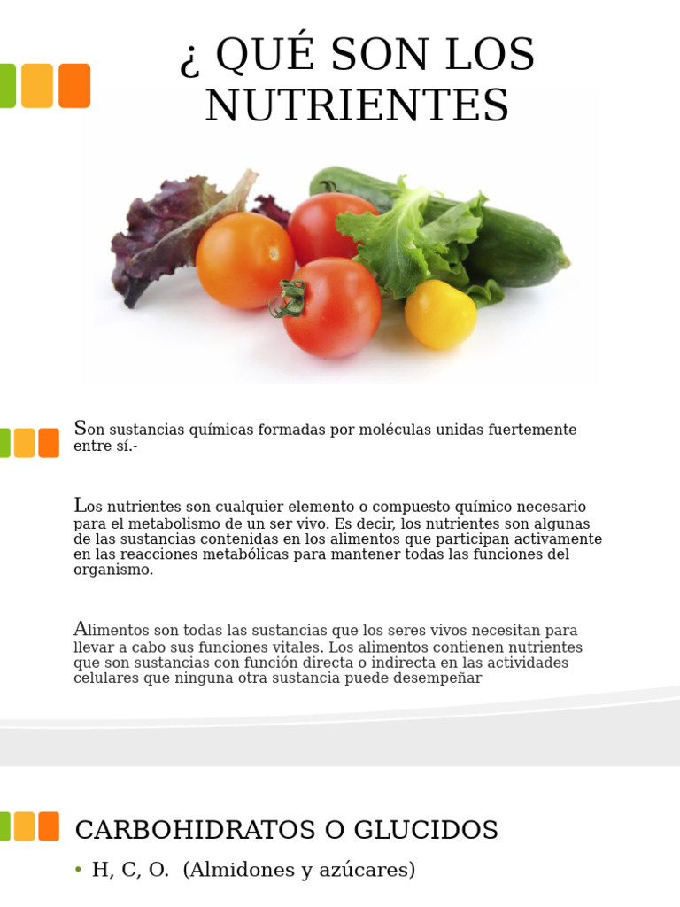 Qué Son Los Nutrientes | PDF | Nutrientes | Carbohidratos