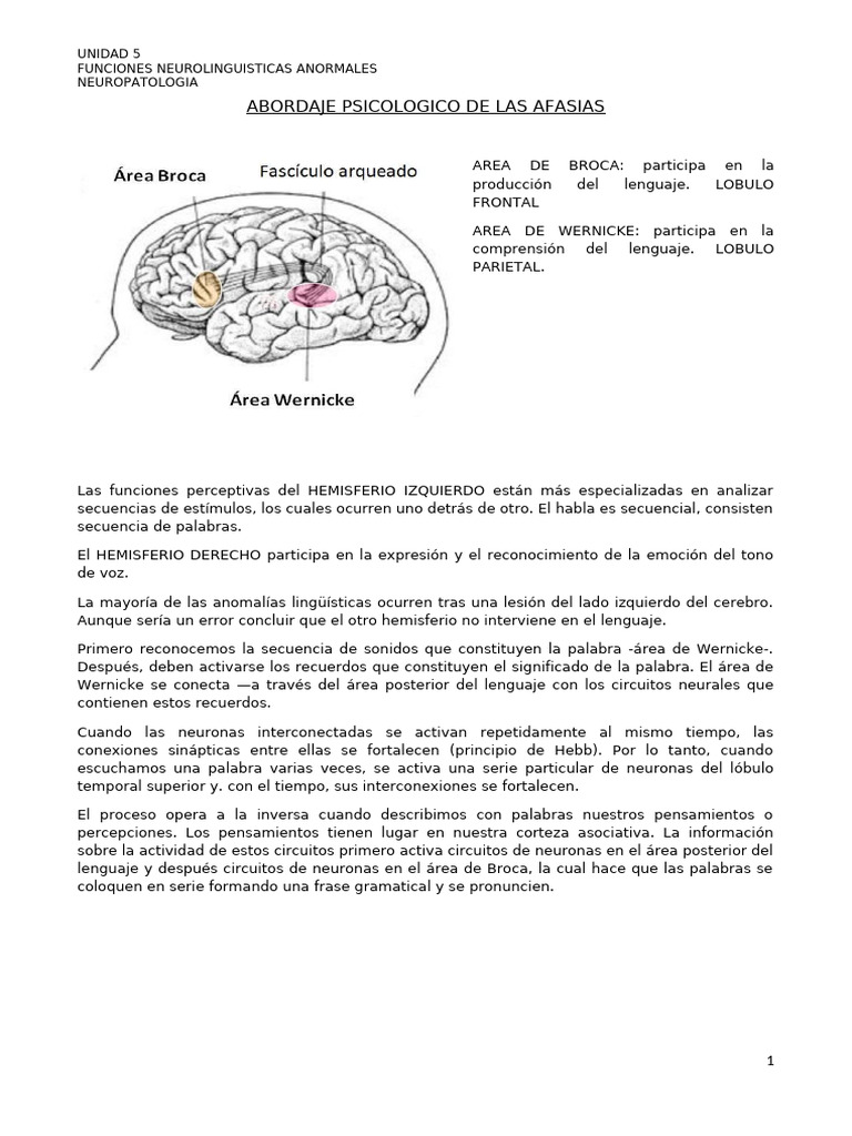 U5 afasias | PDF | Afasia | Dislexia