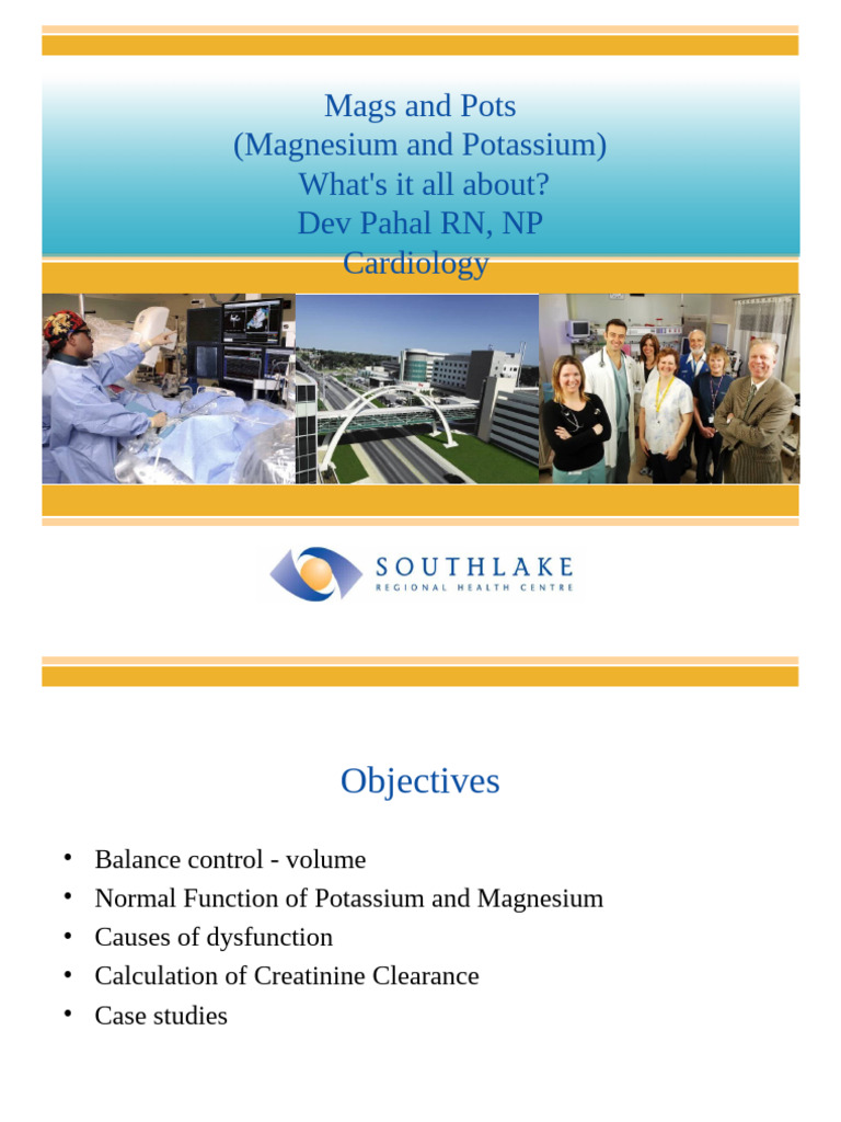 Mags and Pots Presentation 2010 | PDF | Potassium | Chemistry