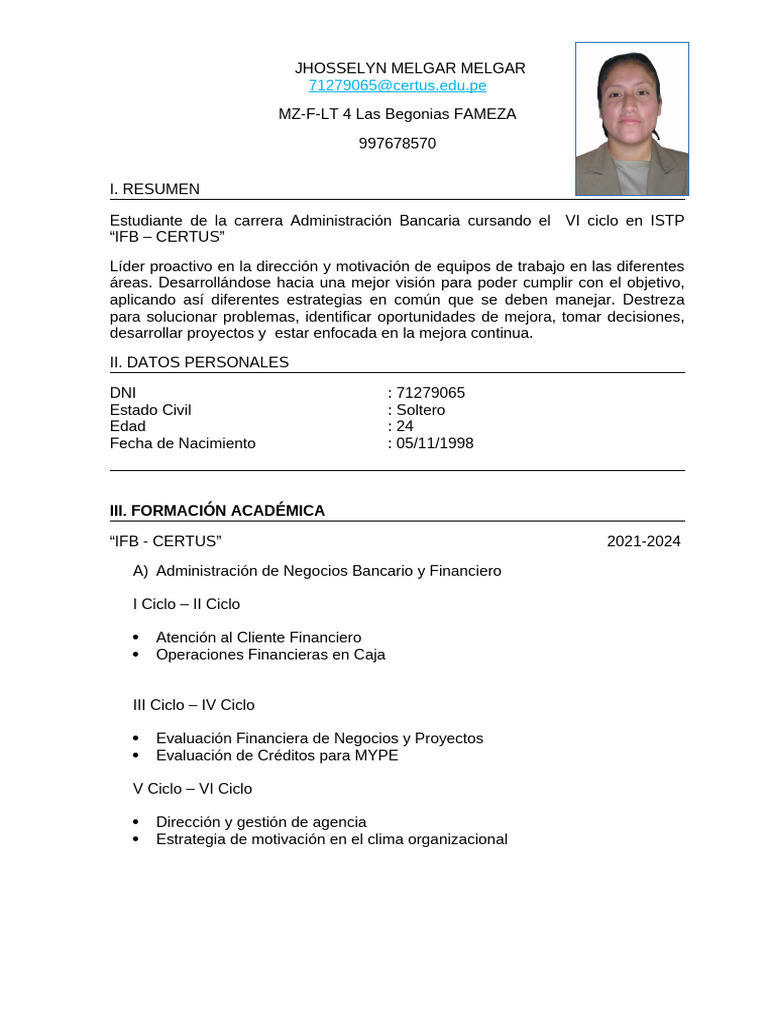 CV EJEMPLO | PDF | Business | Economias